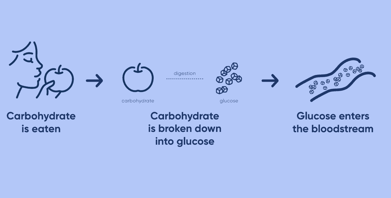 Manage Diabetes Effectively with Expert Dietitian Advice | Ethos Health